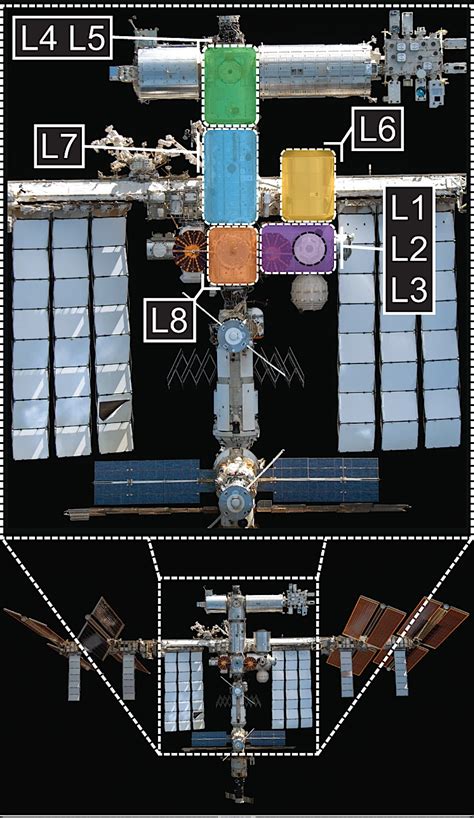 Microbial Adaptation To Spaceflight Is Correlated With Bacteriophage