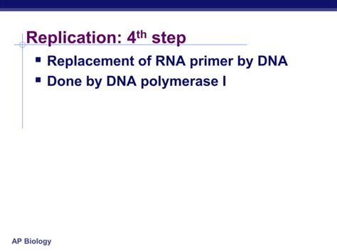Dna Replication In Prokaryotes And Eukaryotes Ppt