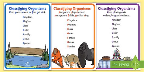 Mnemonics For Classification Of Living Things Teacher Made