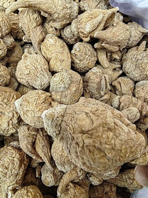玛咖 黑玛咖 黄玛咖 玛卡片 玛卡果 中药材玛卡 500克 份 阿里巴巴