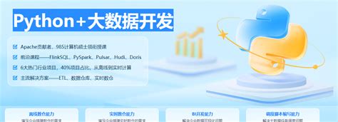 某马 Python 大数据年度钻石会员 价值24980 14阶段完结无密 小麻雀it分享站