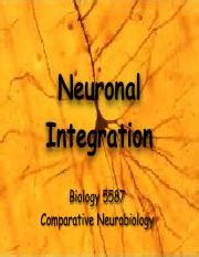 The Science Of Neuronal Integration Decision Making And Course Hero