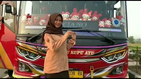 Cinematic Bus Pariwisata Kupu Kupu Ayu Kiano X Ladies Free Mentahan