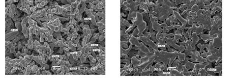A Sem Microstructure Of Sample L6 Powder Size 50µm Time 30 Min Download Scientific Diagram