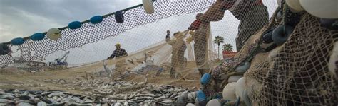 México Prevé Un Crecimiento Del 50 En El Sector Pesquero Y Acuícola En