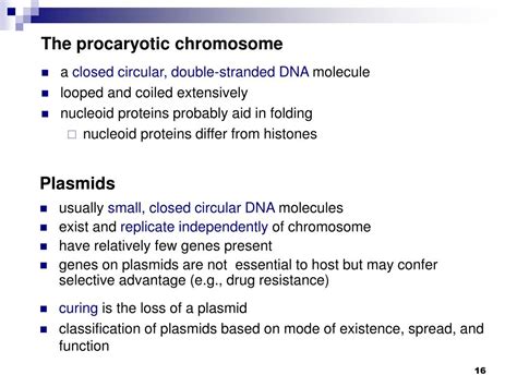 Ppt A Preview Of Procaryotic Cell Structure And Function Powerpoint Presentation Id 4216385