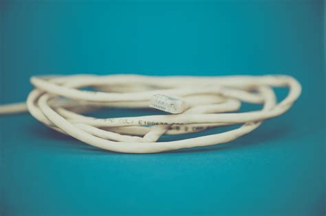 Lan Cable Patch Cord Free Photo On Pixabay