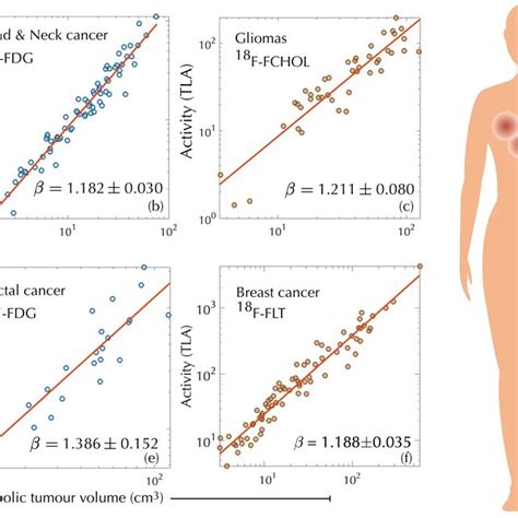 A Superlinear Scaling Law Governs Glucose Uptake And Proliferation In Download Scientific
