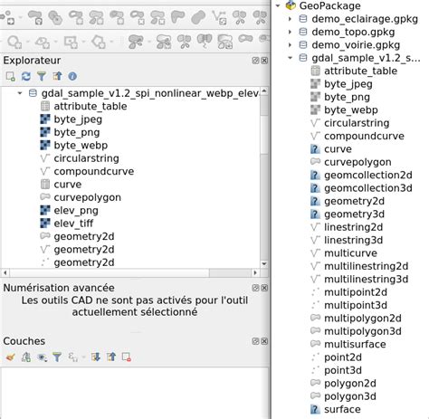 Db Manager Only Shows Some Type Of Rasters · Issue 25040 · Qgisqgis