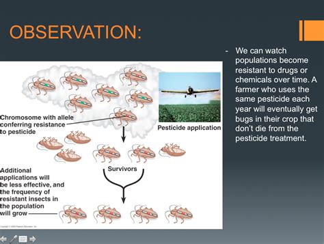 Microevolution Mrs Burns Science