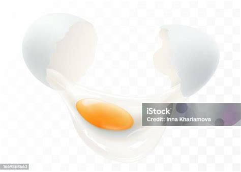 투명한 배경에 분리된 깨진 흰 달걀 단백질과 노른자는 깨진 달걀 껍질에서 흘러 나왔다 금이 간 달걀의 가로 그림 사실적인 3d 벡터 디자인 3차원 형태에 대한 스톡 벡터
