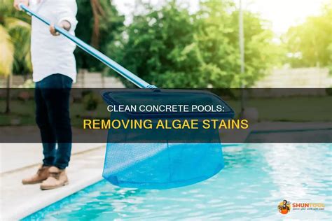 Clean Concrete Pools Removing Algae Stains ShunTool