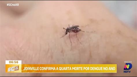 Joinville registra quarta morte por dengue somente no início de 2024