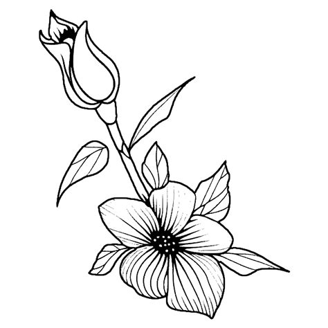 Ruby Red Rose Blossom Coloring Page · Creative Fabrica