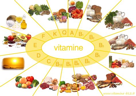 Tầm Quan Trọng Của Vitamin đối Với Người Tập Thể Hình Vựa Gym