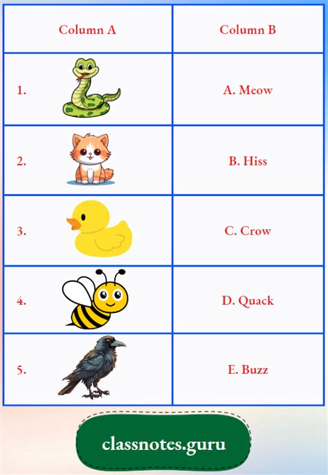 Ncert Class 2 English Mridang Solutions Chapter 9 My Name Class Notes