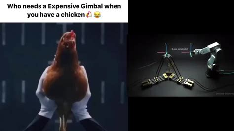 Video Supriya Rathi On Linkedin Humans Chicken Robotics Robots
