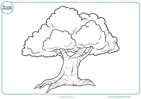 Dibujos De Árboles Para Colear Otoño Secos Navidad