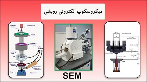 معرفی میکروسکوپ الکترونی روبشی گسیل میدانی Fesem 7 کاربرد
