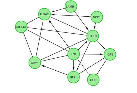 Functional Interaction Fi Between 20 Chosen Differently Expressed