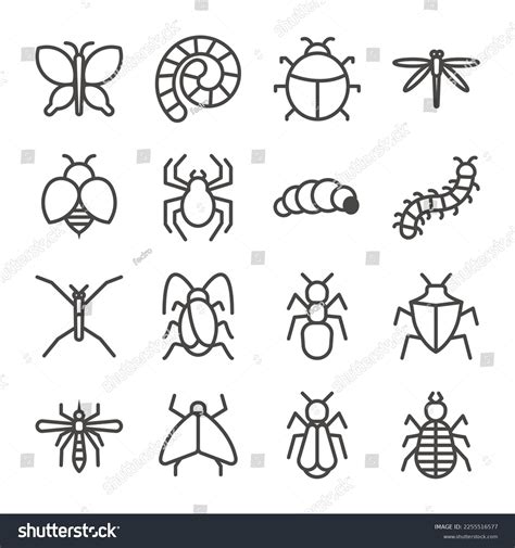 Set Insect Outline Icon Worm Butterfly Stock Vector Royalty Free
