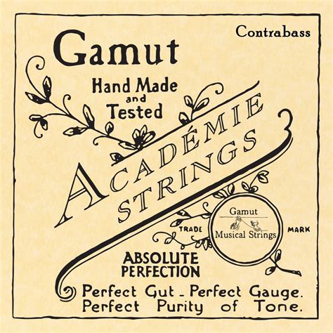 Contrabass String Set