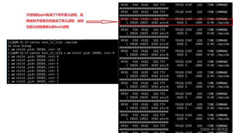 Linux进程控制二 进程等待 一 linux进程控制2 CSDN博客