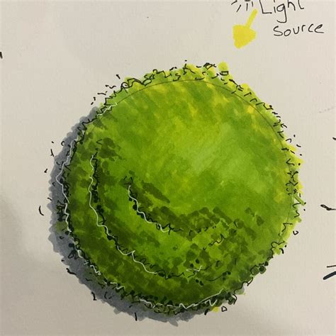 Tips For Drawing Trees In Architectural Drawings And Sketchs With