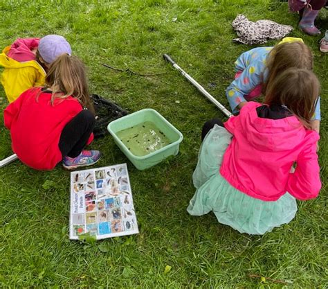 Programming Buffalo Audubon Society