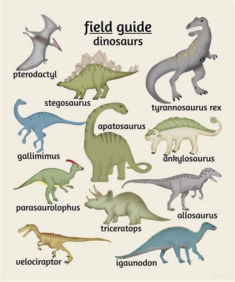 Types Of Dinosaurs Printable