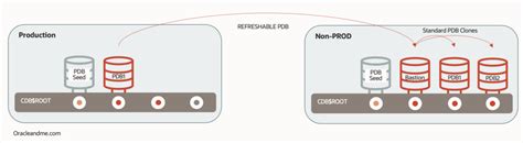 19c basic multitenant operation combinations oracle and me