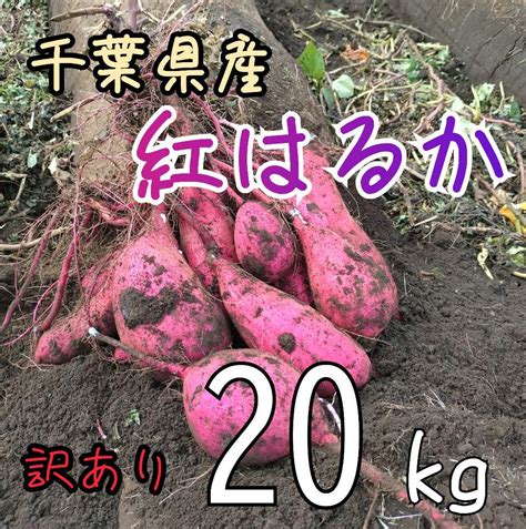 さつまいも 紅はるか 20kg 訳あり メルカリ