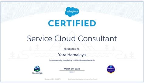Yara Hamalaya On Linkedin Salesforce Salesforcecertified Servicecloud 17 Comments