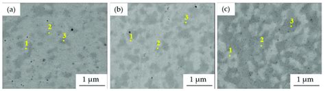 Sem Micrographs And Points Of Eds Analysis Of Ma Sps Compact Alloys Download Scientific