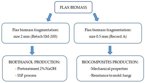 Applied Sciences Free Full Text Effective Use Of Flax Biomass In Biorefining Processes