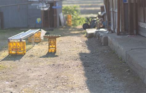 初期費用・運用費用もゼロ、働かずに収入を得る方法とは？