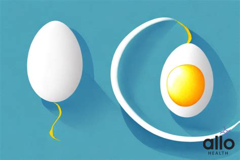 Can An Intersex Woman Produce Sperm Allo Health