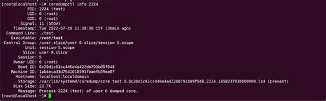 openEuler 使用coredumpctl调试进程core openeuler coredump CSDN博客