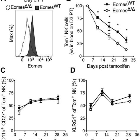 The Transcription Factor Eomes Controls The Homeostasis Of Peripheral