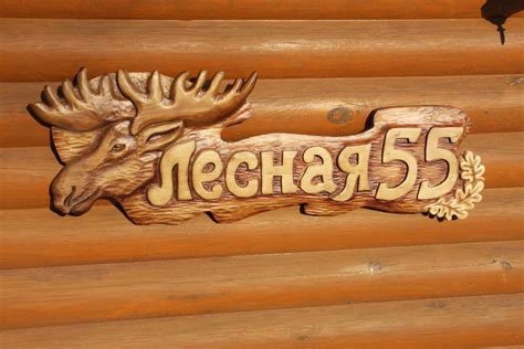 Адресная табличка "Лесная 55"