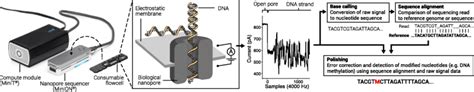 Nanopore Dna Sequencing And Associated Data Analysis A Consumable