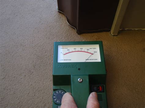 Moisture Damage Gallery Bayou State Inspections