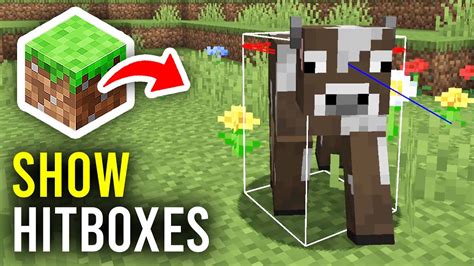 How To Show Hitbox In Minecraft Full Guide Youtube