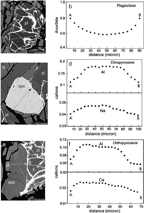 Representative Compositional Cross Sections Of Plagioclase And Pyroxene Download Scientific