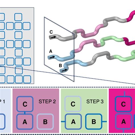 Mapping The Coupling Sequence Of A 2d Microring Unit Cell In The