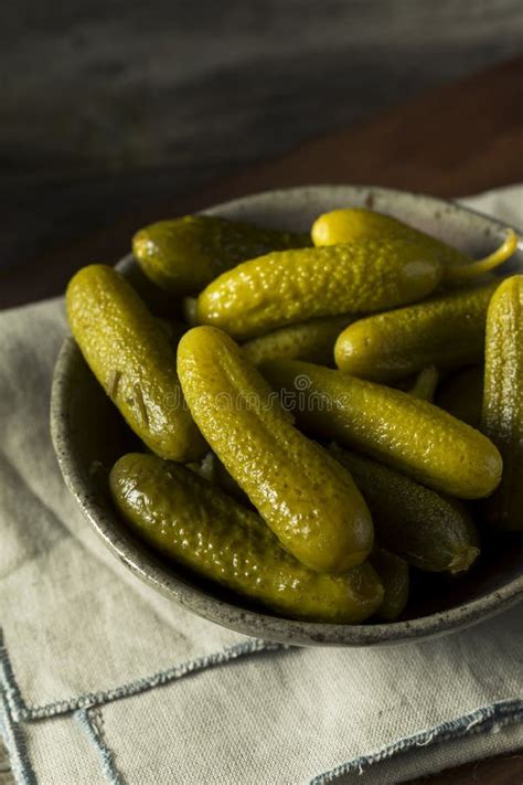 Pickled Organic Cornichon Gherkin Pickles Stock Image Image Of