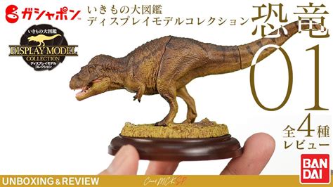 【1回1 000円の手のひらサイズフィギュア】ガシャポン いきもの大図鑑ディスプレイモデルコレクション恐竜01 全4種類 開封レビュー