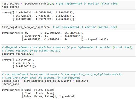Exercise 3 Triplet Loss Cannot Progress Conflicting Instructions