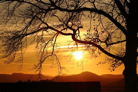 Sunset Shadow Play Silhouette Free Photo On Pixabay Pixabay