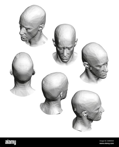 A Series Of Different Head Shots Of A Man The Head Shots Are All In Different Positions And